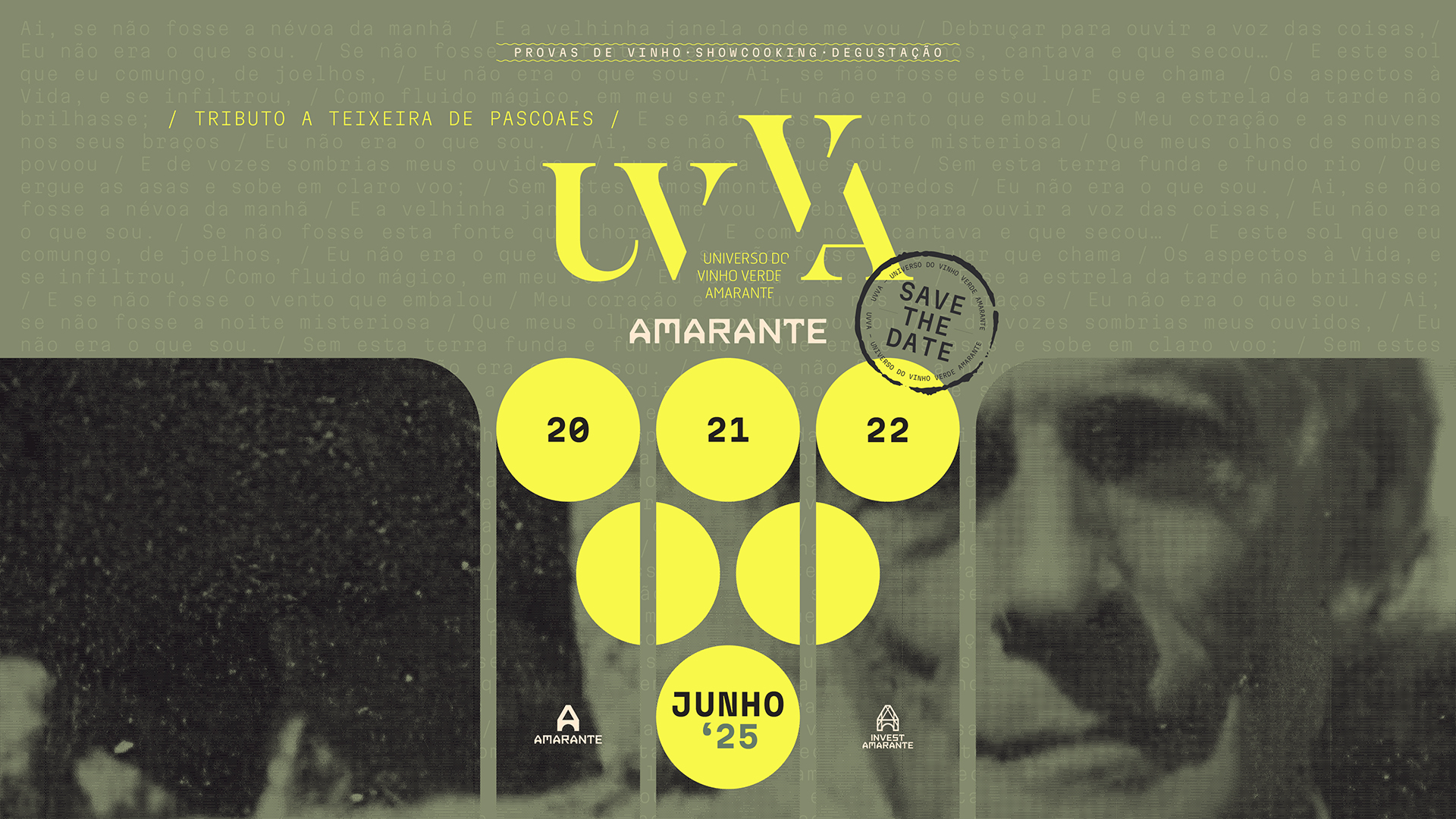 Município de Amarante